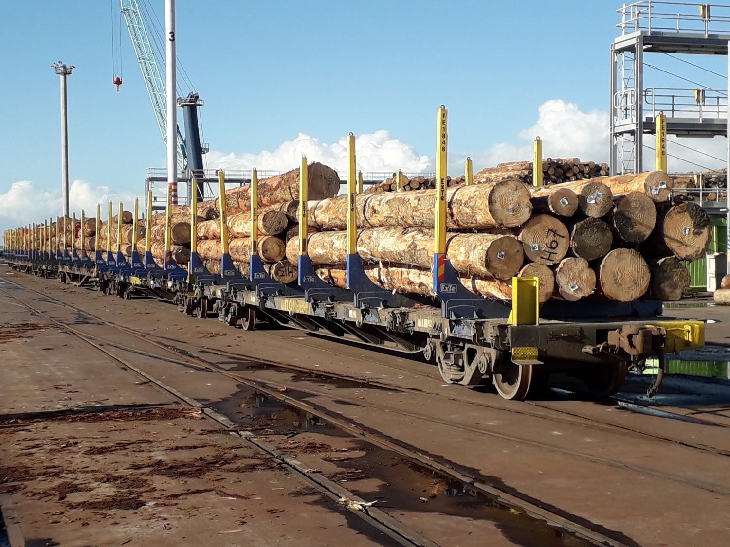 Log trains return to Port Taranaki | Port Taranaki